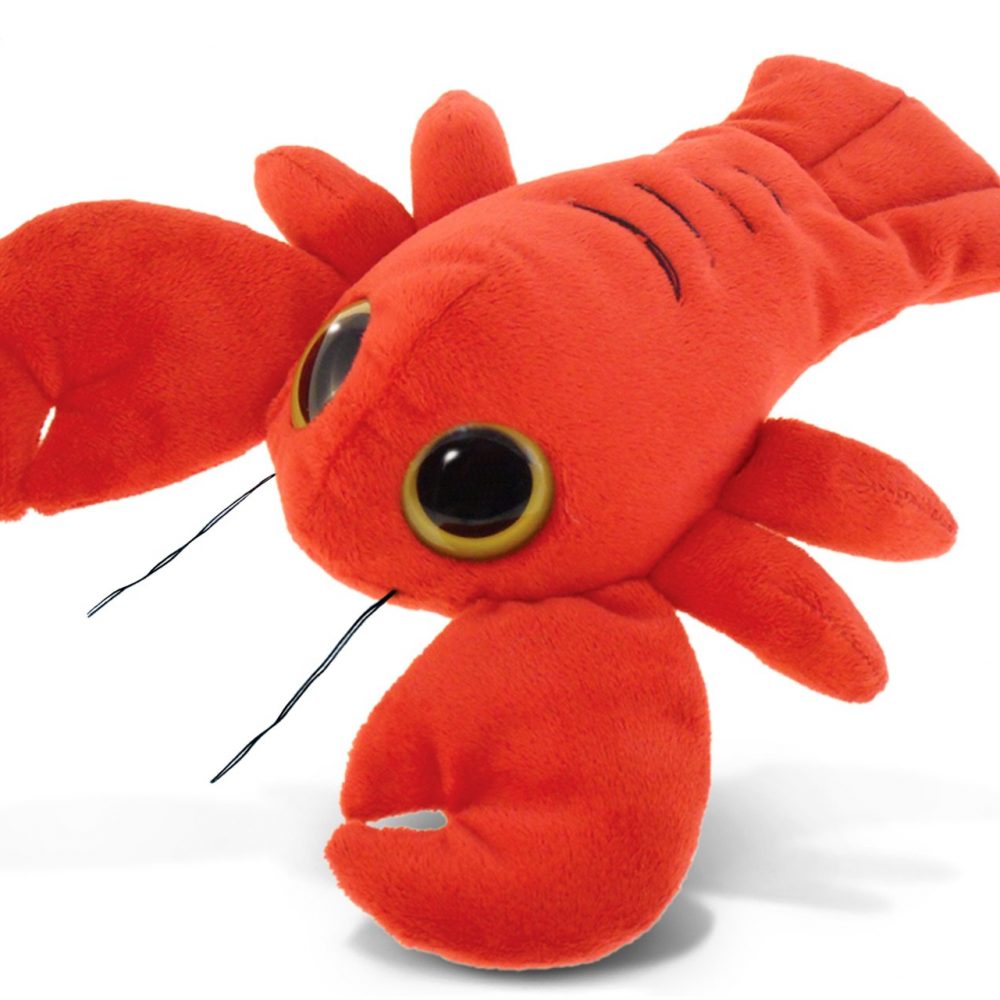 Big Eye Stuffed Animals - DolliBu