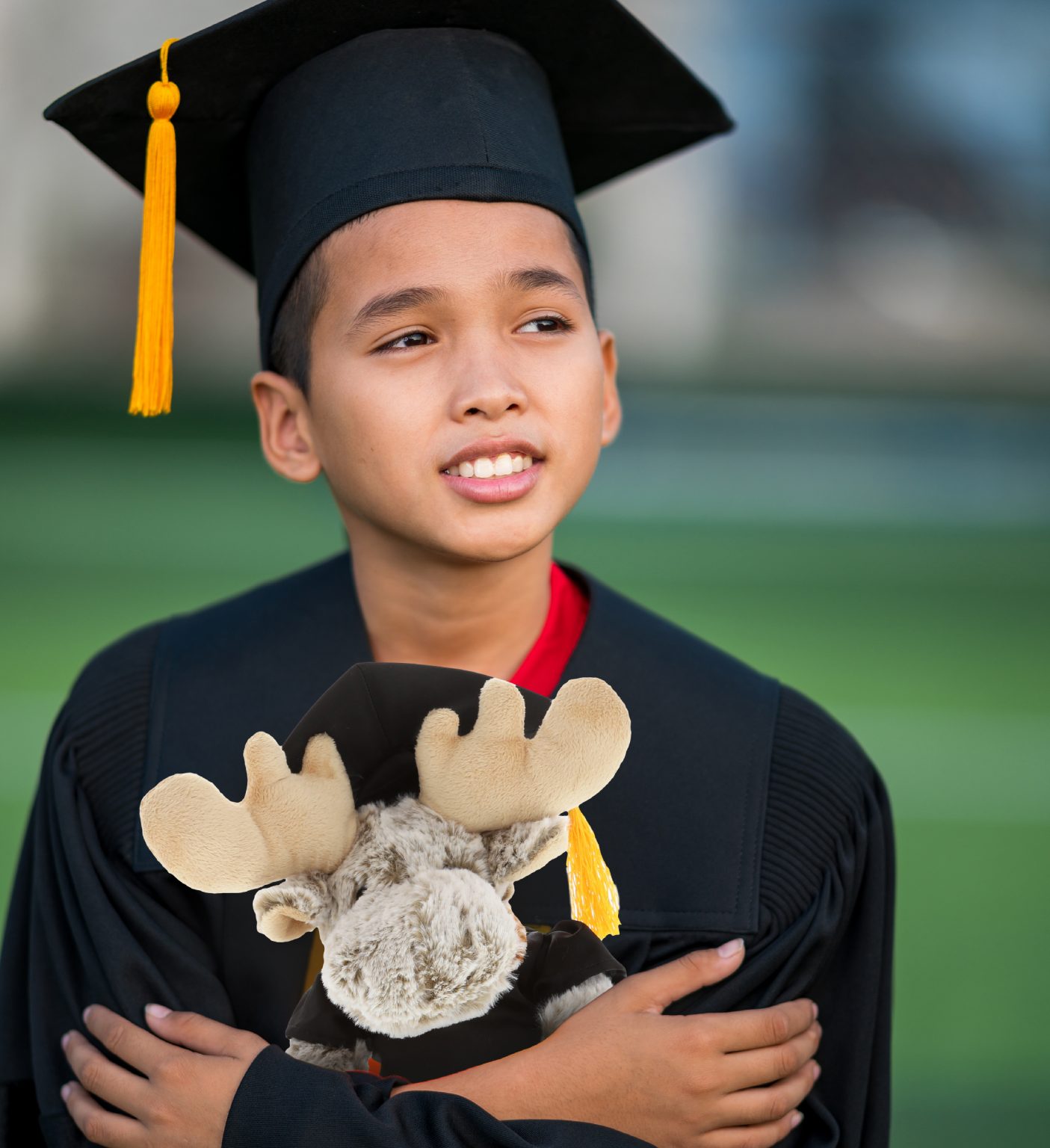 DolliBu Sitting Moose Graduation Plush Toy – Stuffed Animal Dress Up ...