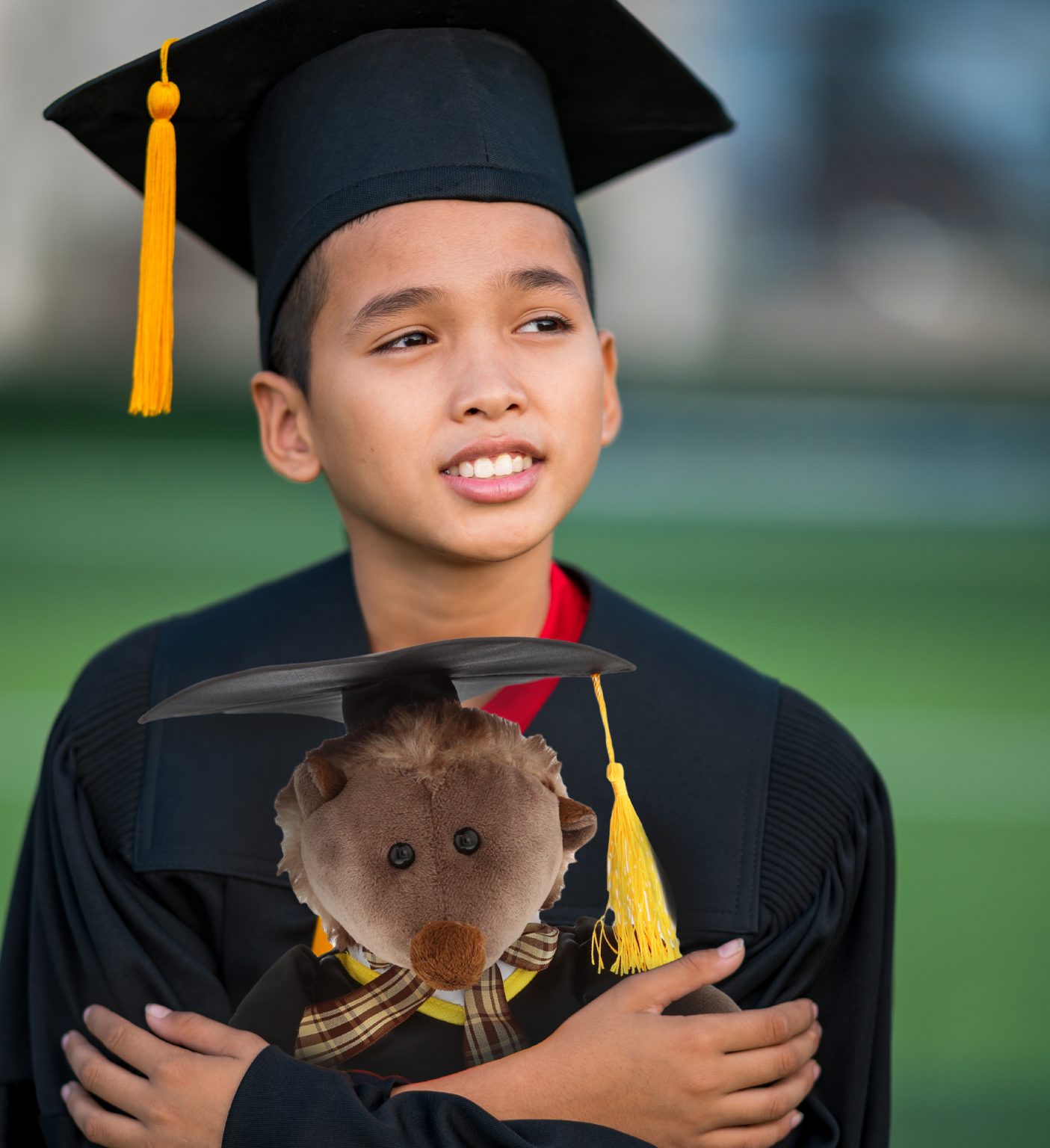 DolliBu Hedgehog with Ribbon Graduation Plush Toy – Stuffed Animal ...